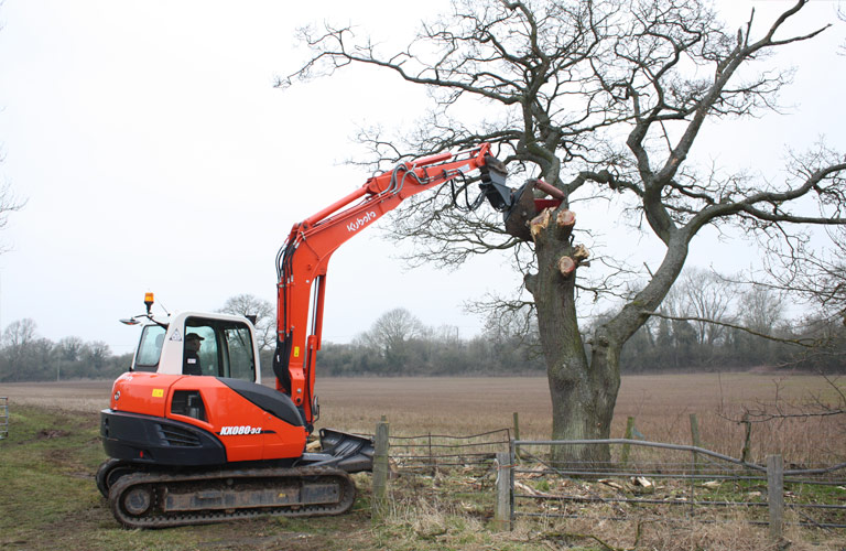 Tree Shears - Land and Water